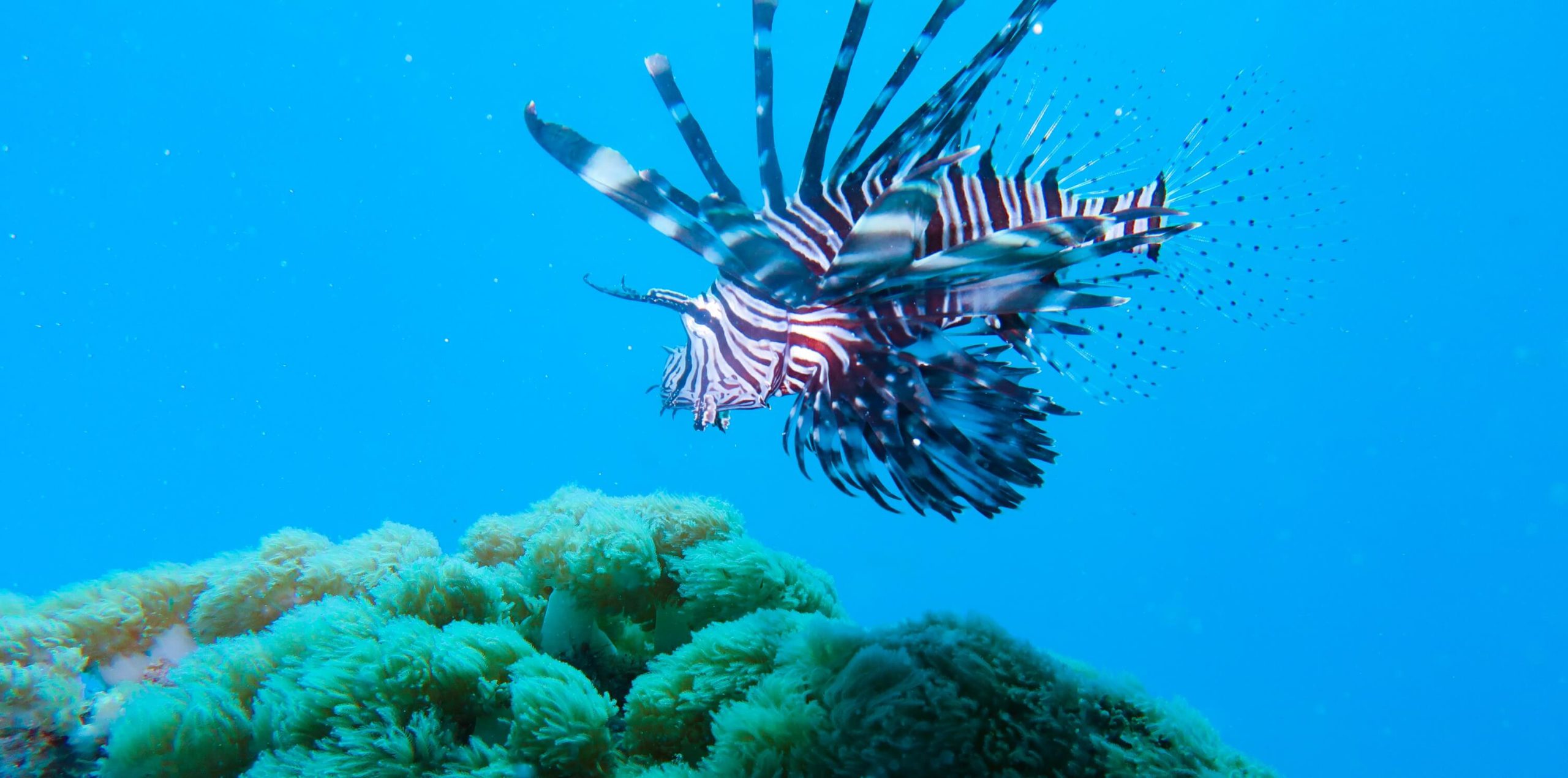 AHG Sun Bay Mlilile Beach Hotel - Zanzibar